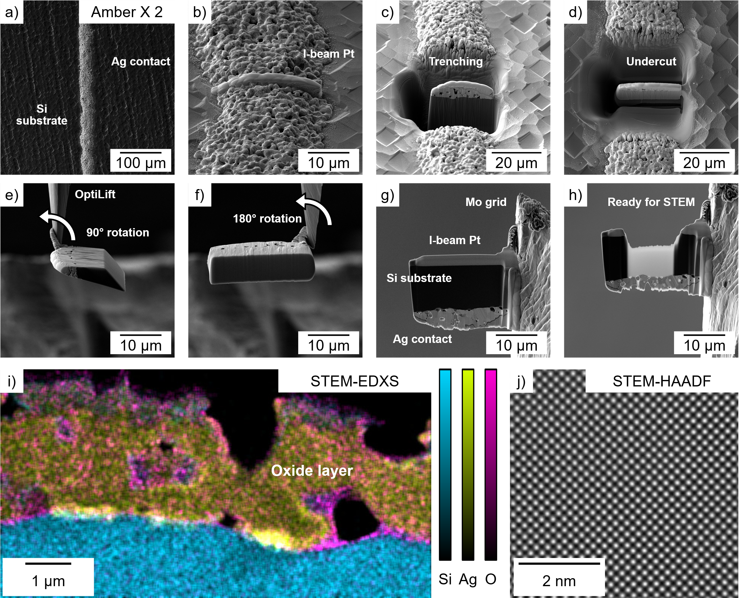 TEM Sample Preparation with Plasma FIB-SEM | Tescan